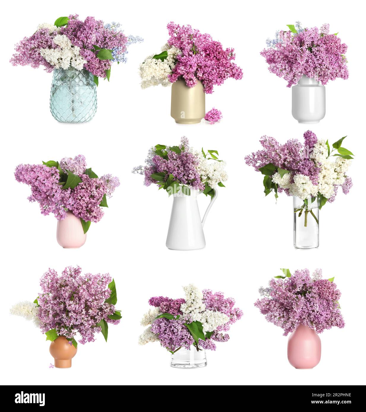 Collage with beautiful lilac flowers in vases on white background Stock ...