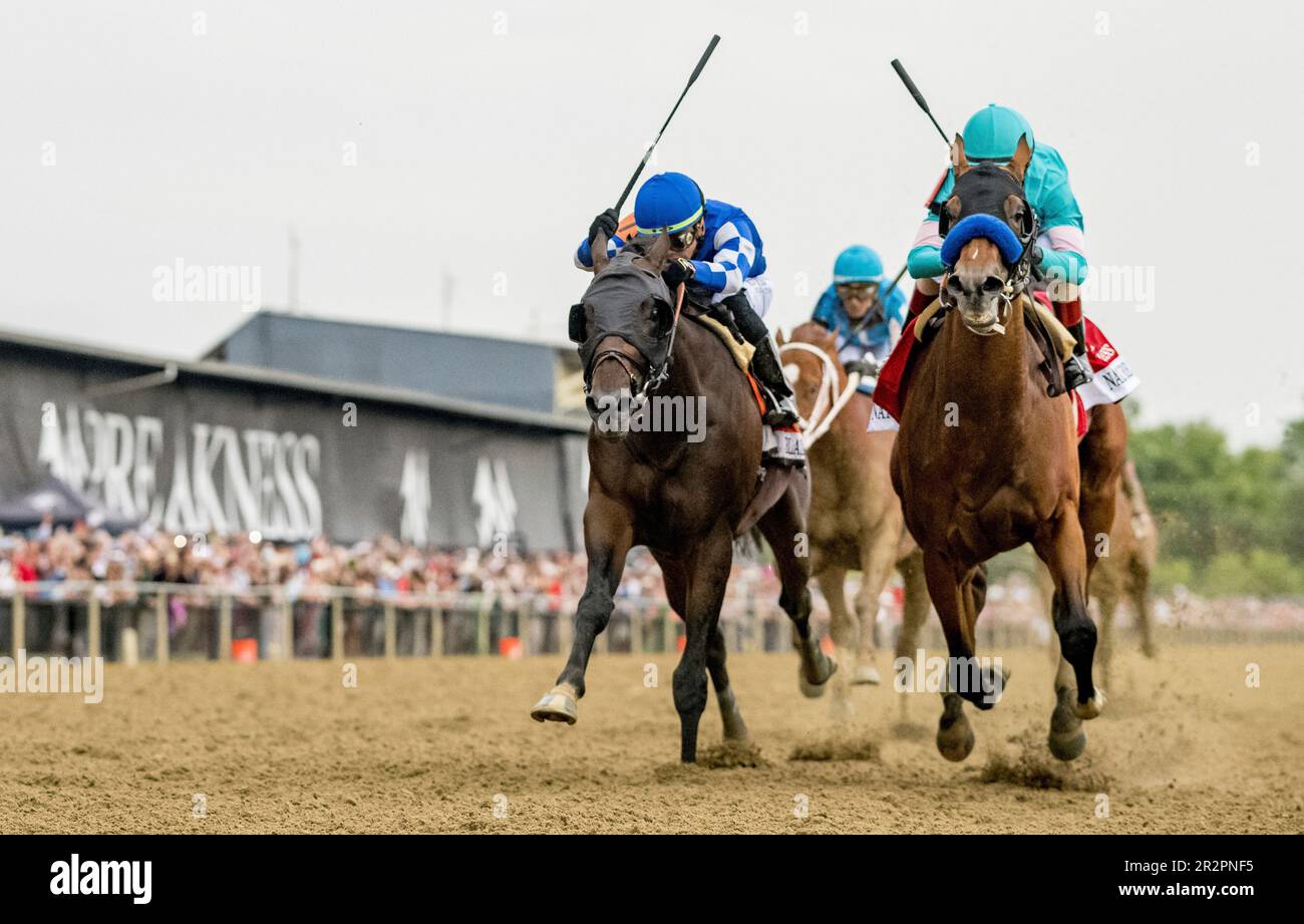 May 20, 2023, Baltimore, MD, USA: National Treasure, #1, ridden by ...