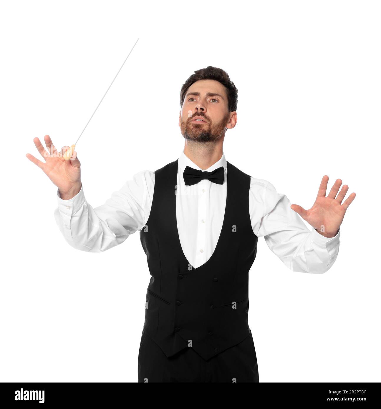 Professional conductor with baton on white background Stock Photo - Alamy