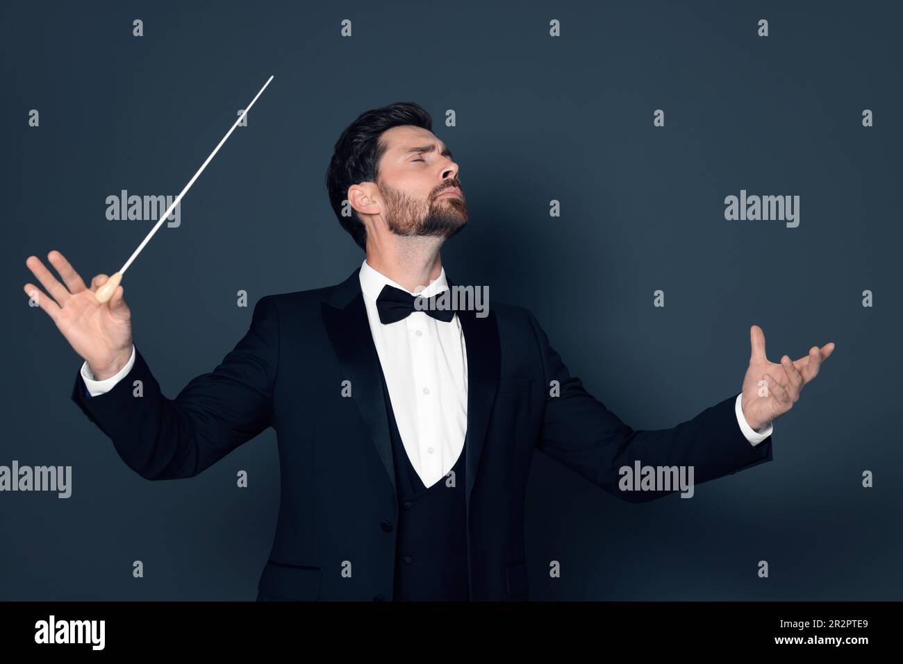 Professional conductor with baton on grey background Stock Photo - Alamy
