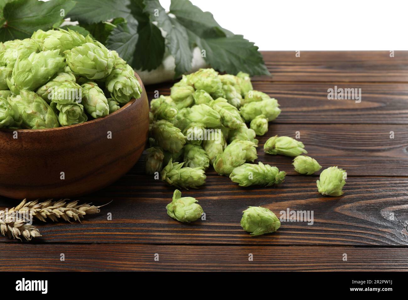 Fresh hop flowers and wheat ears on wooden table against light grey ...