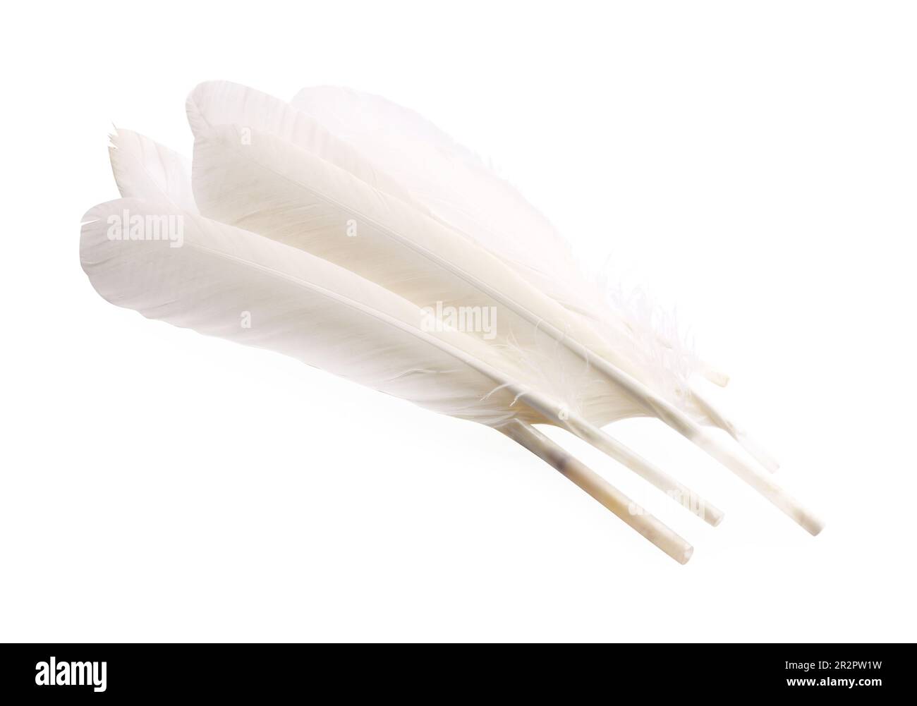Many fluffy beautiful feathers on white background Stock Photo - Alamy