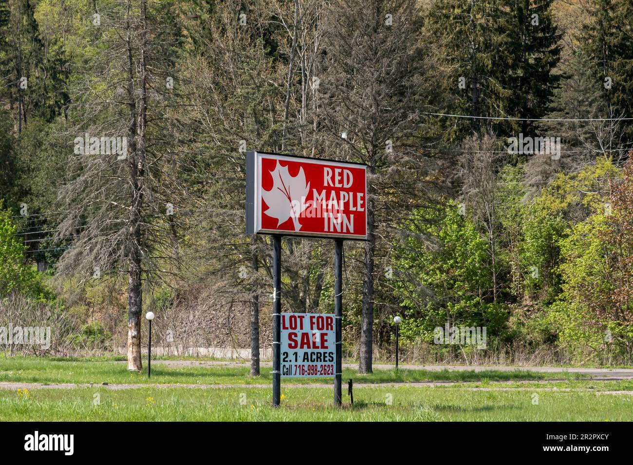 A sign for the Red Maple Inn once was before being torn down on State ...