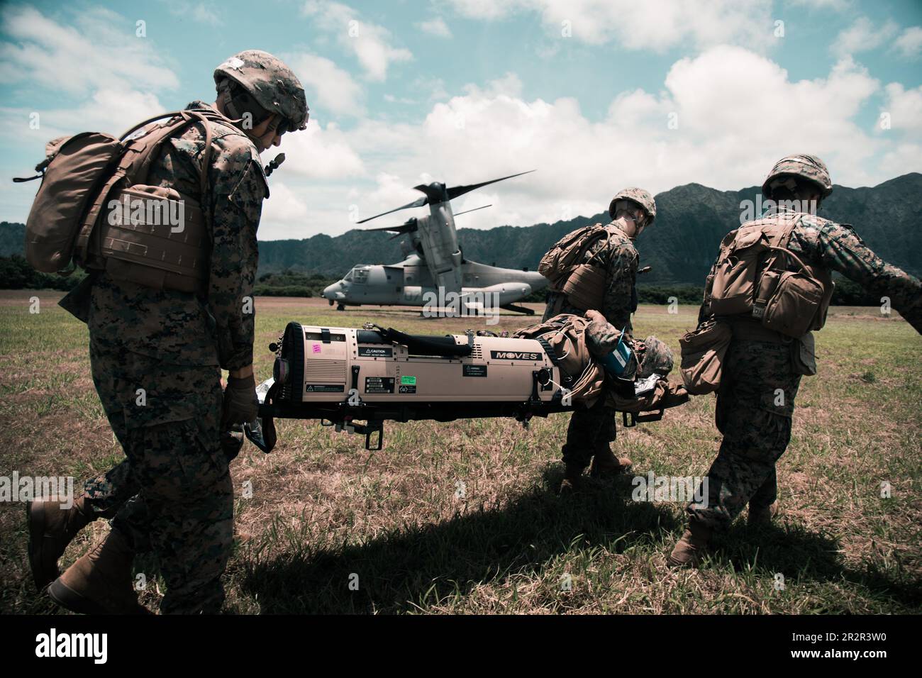 U.S. Sailors with Bravo Surgical Company, 3rd Medical Battalion, 3rd ...