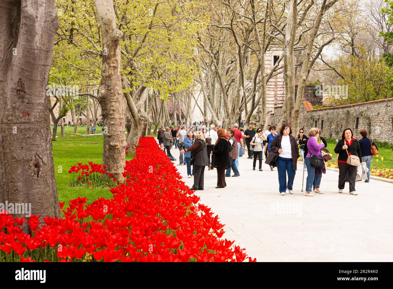Topkapi Palace, Street with lined trees and flowers garden,Sultan Ahmet ...