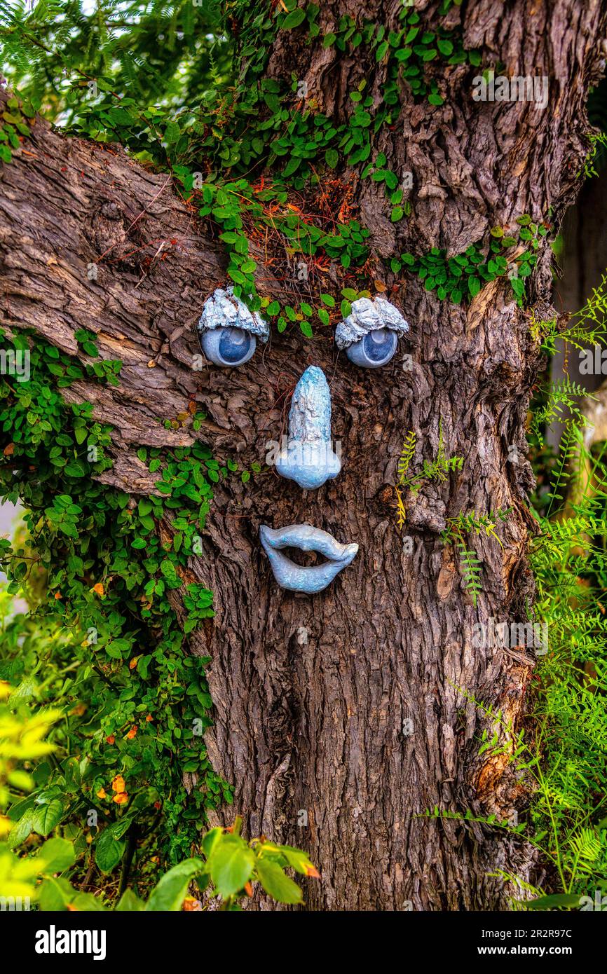 The Trees Face, mouth lips,nose and eyes on tree trunk still life Stock ...