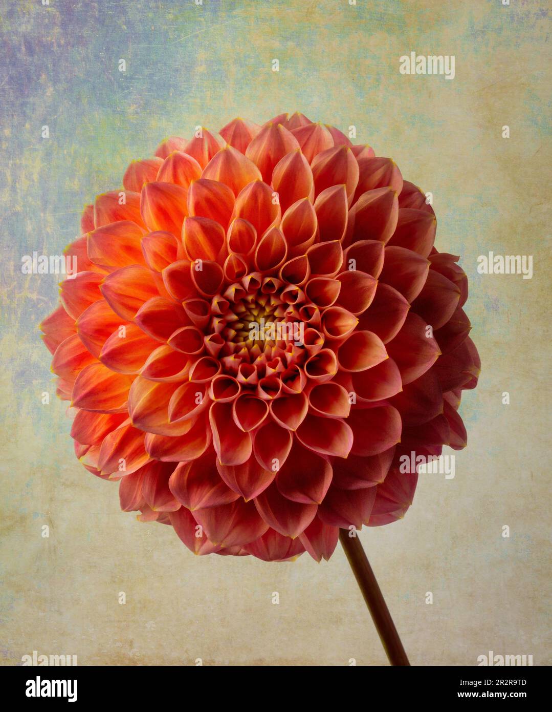 Textures of life hi-res stock photography and images - Alamy