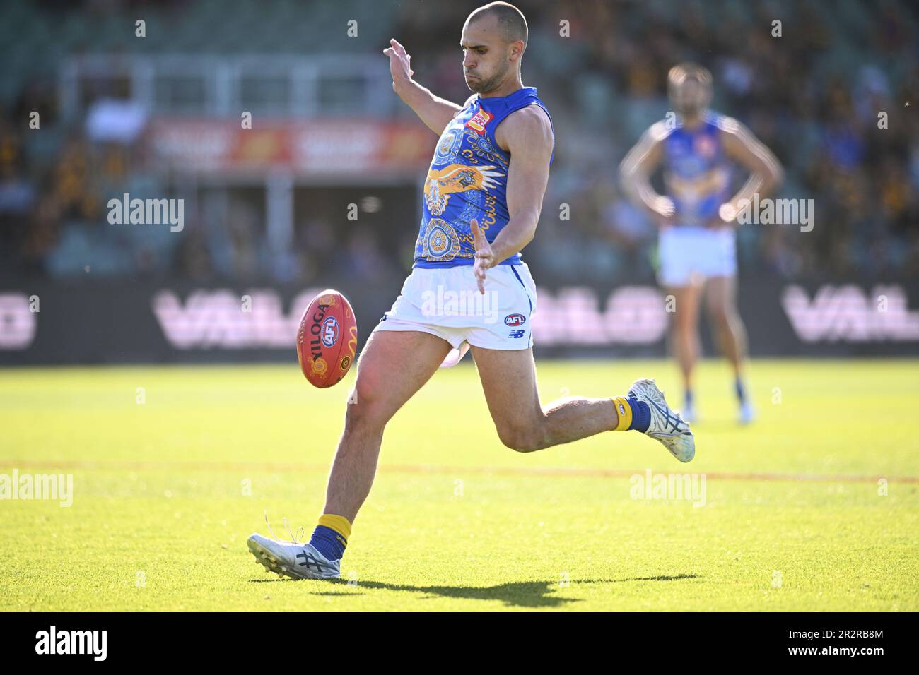 Dom Sheed of West Coast kicks a goal during the AFL Round 10 match ...
