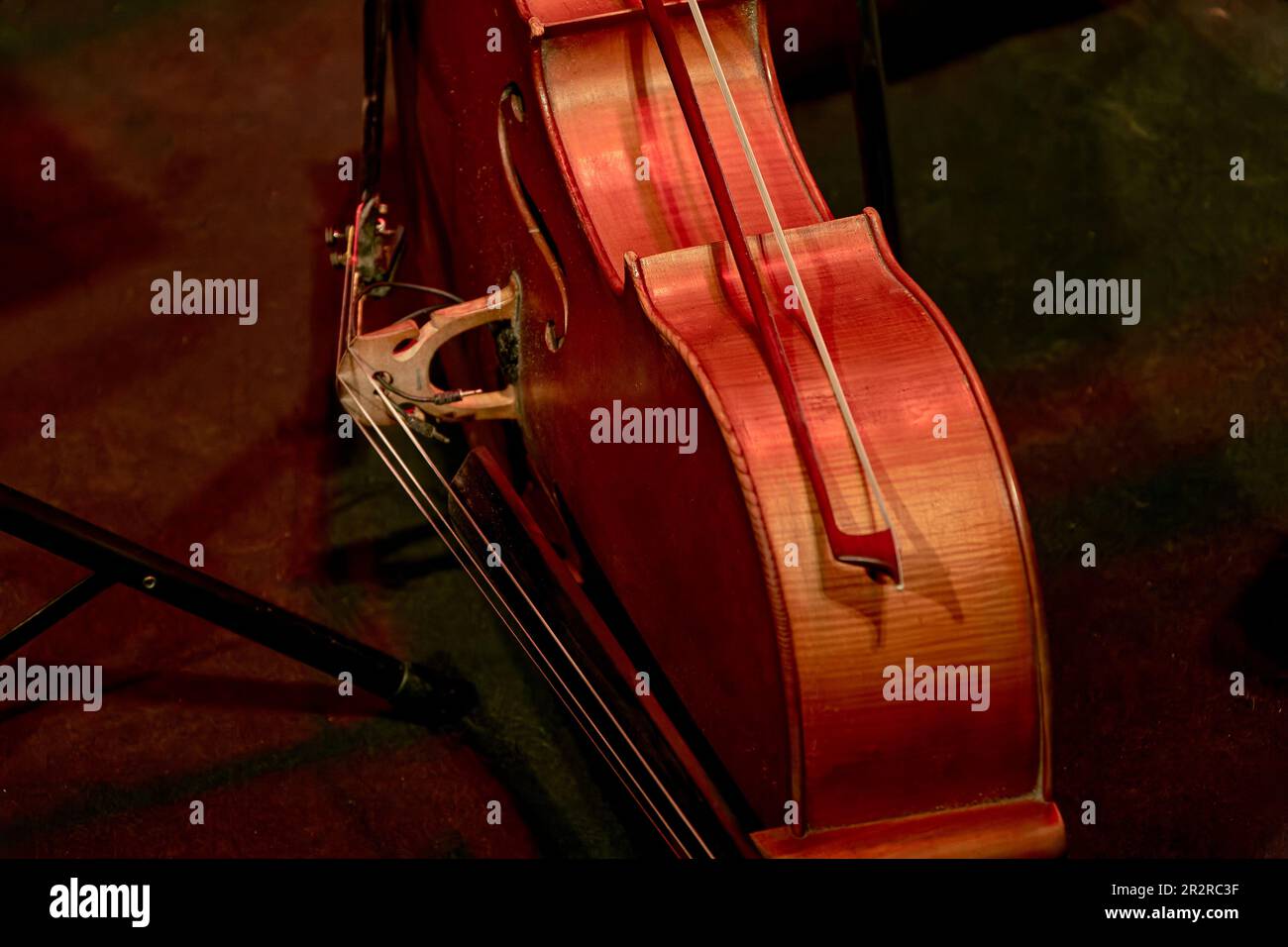 String instruments hi-res stock photography and images - Alamy