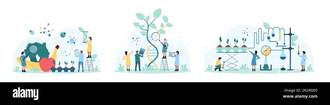 Science in agriculture, food safety set vector illustration. Cartoon ...