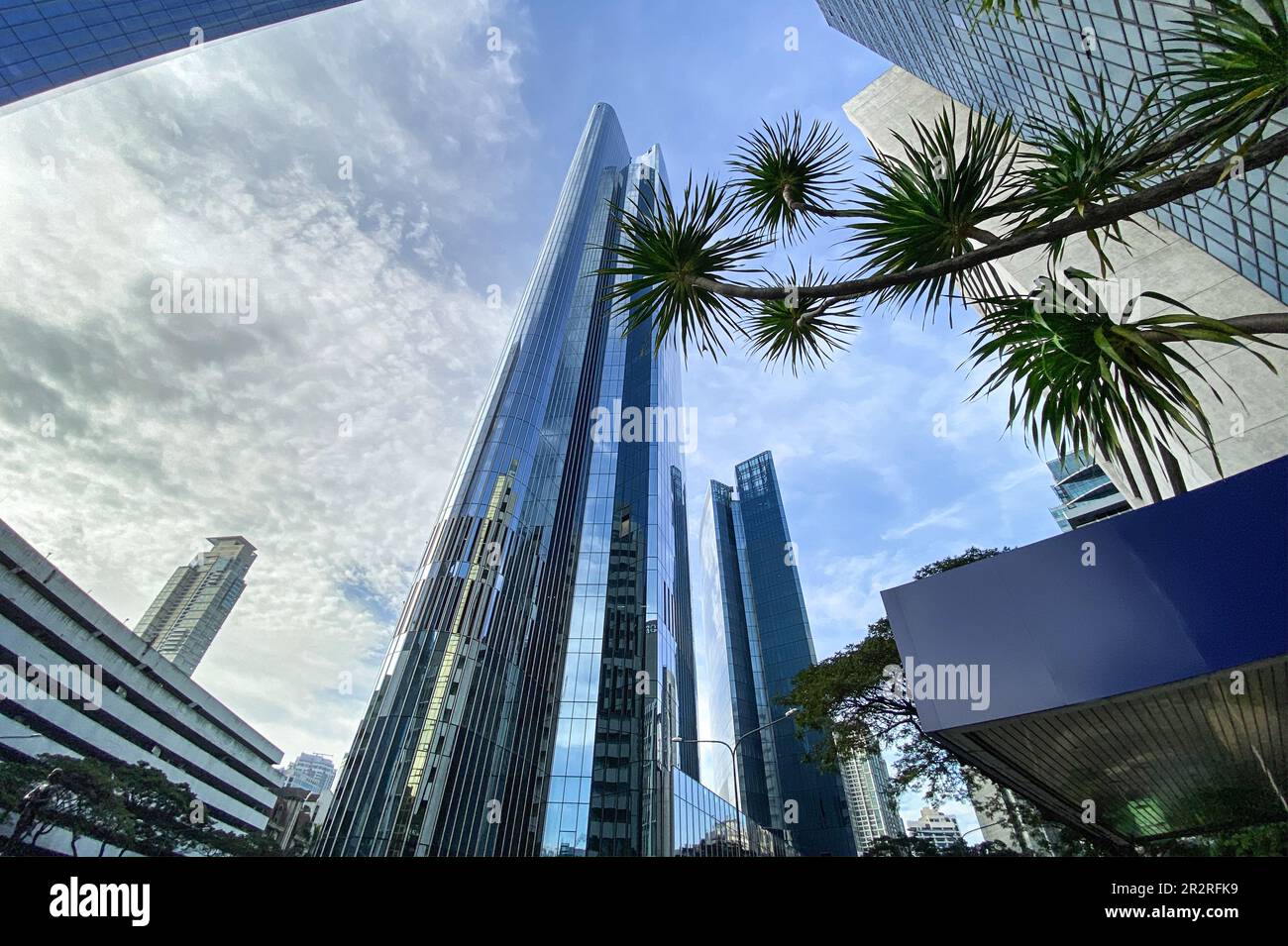 Ayala Triangle Gardens Tower district, Makati avenue, business ...