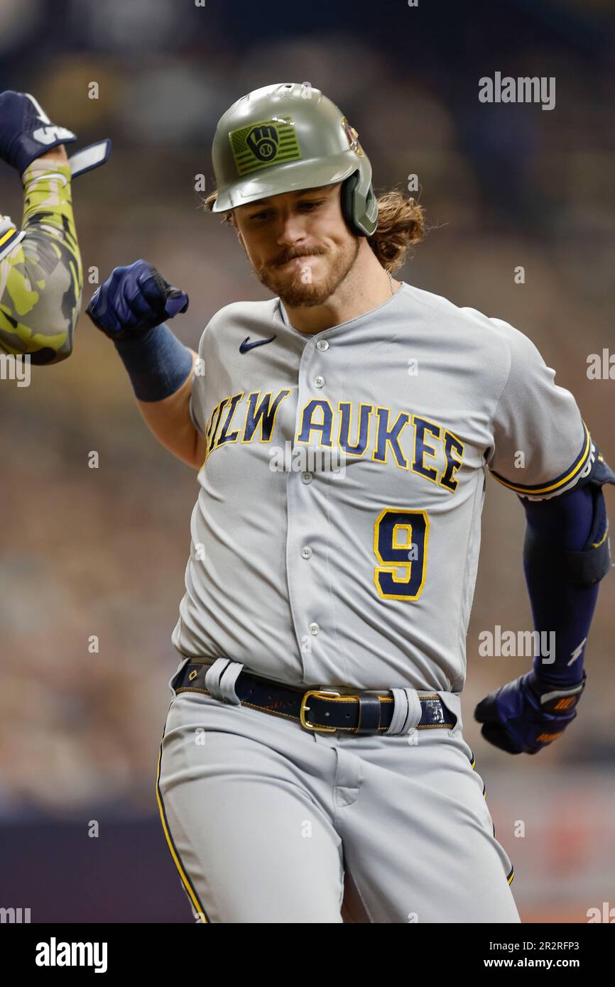 St. Petersburg, FL USA; Milwaukee Brewers third baseman Brian Anderson ...