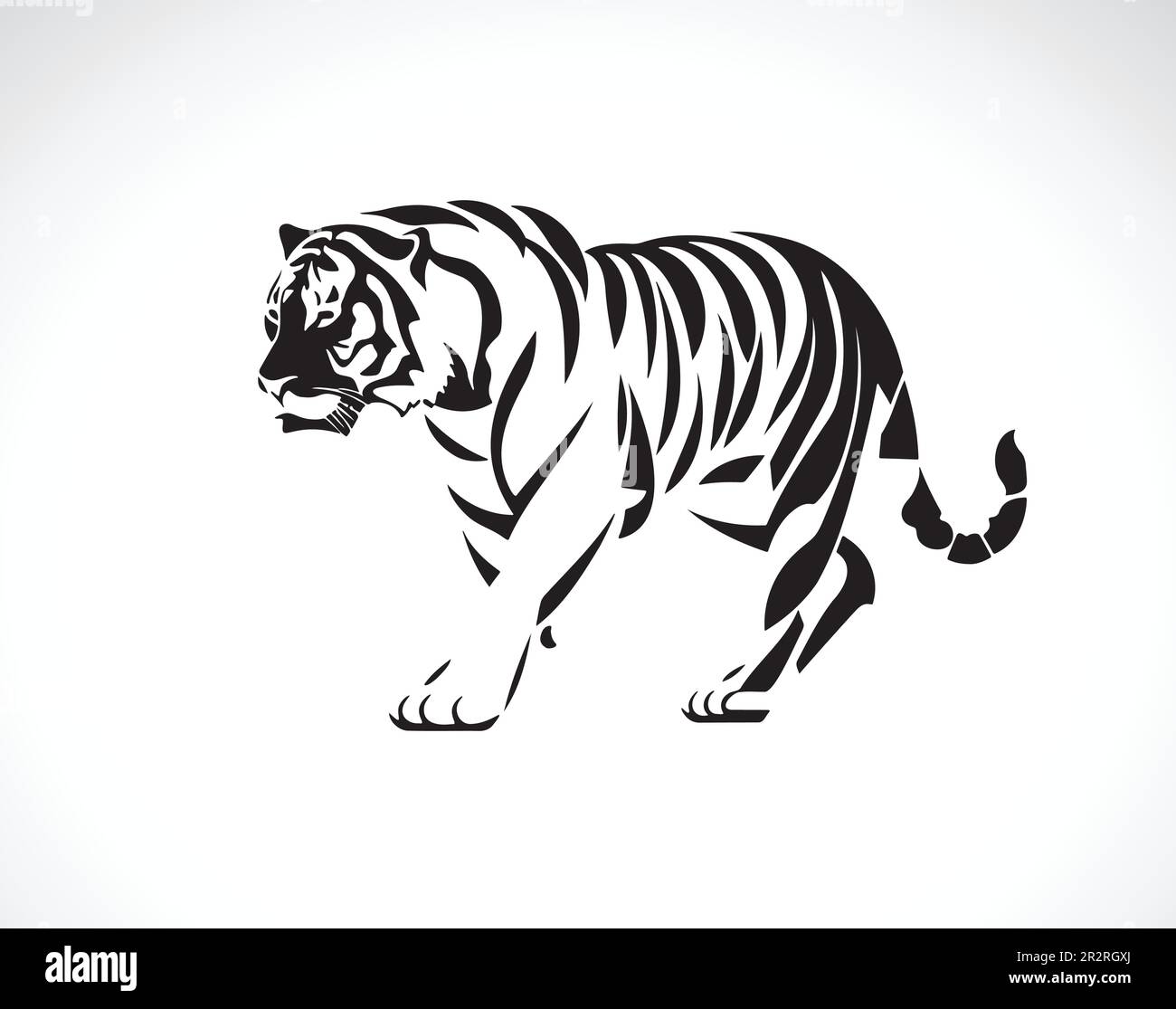 Vector of tiger on white background. Wild Animals. Easy editable ...