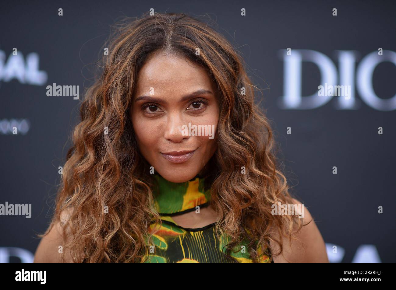 Lesley-Ann Brandt arrives at the Africa Outreach Project Block Party on ...