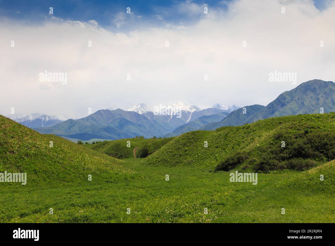 Beautiful spring and summer landscape. Lush green hills, high mountains ...