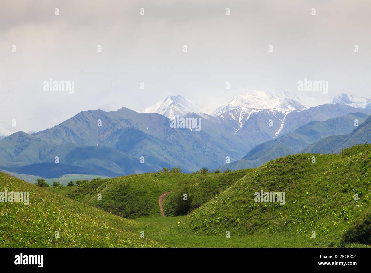 Beautiful spring and summer landscape. Lush green hills, high mountains ...