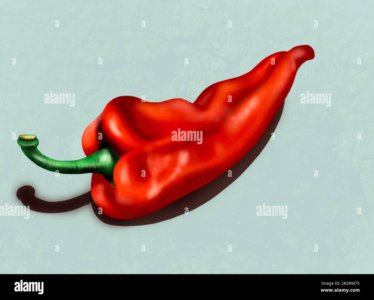 Capsicum illustration hi-res stock photography and images - Alamy