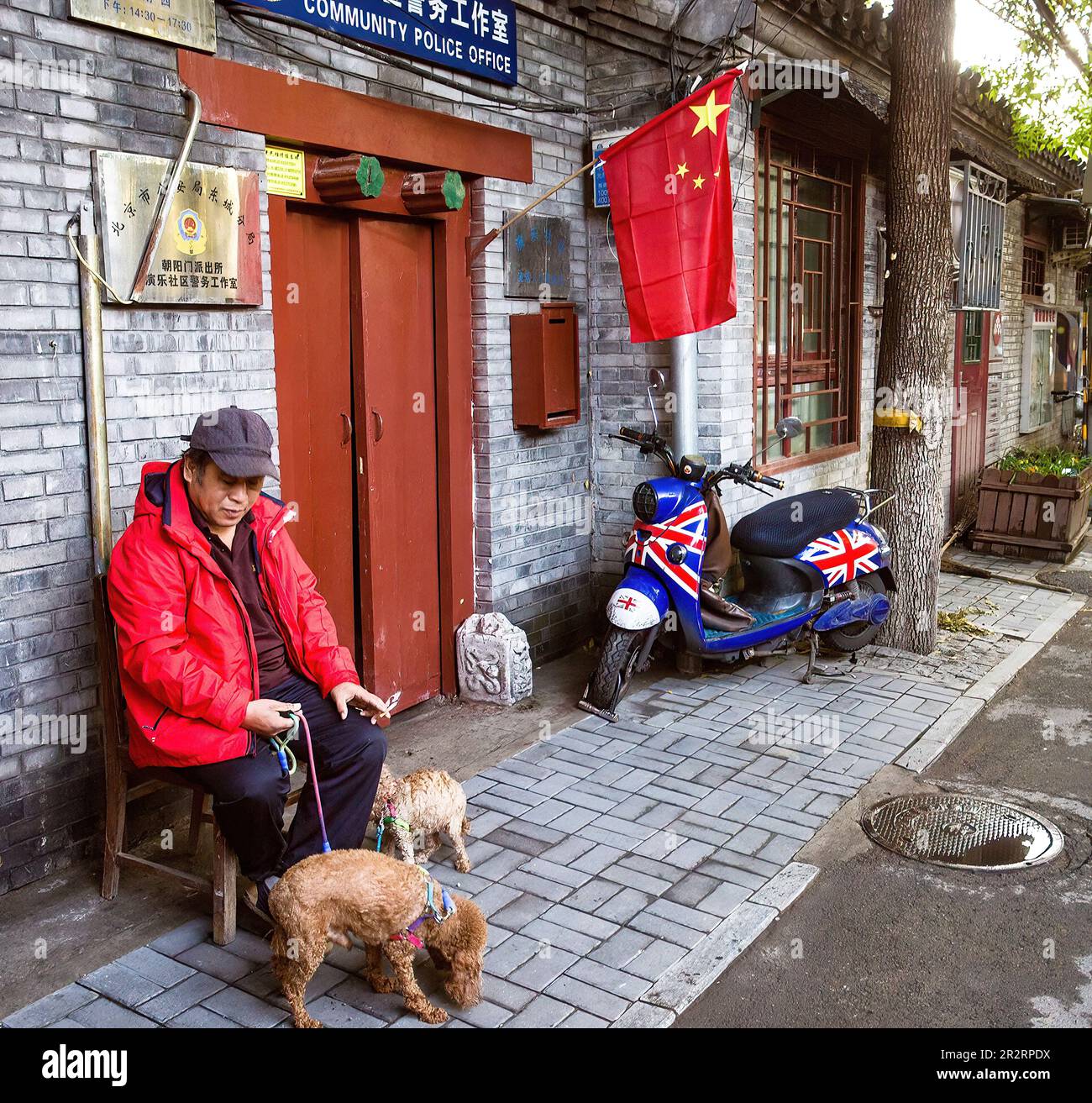 Odd combination hi-res stock photography and images - Alamy