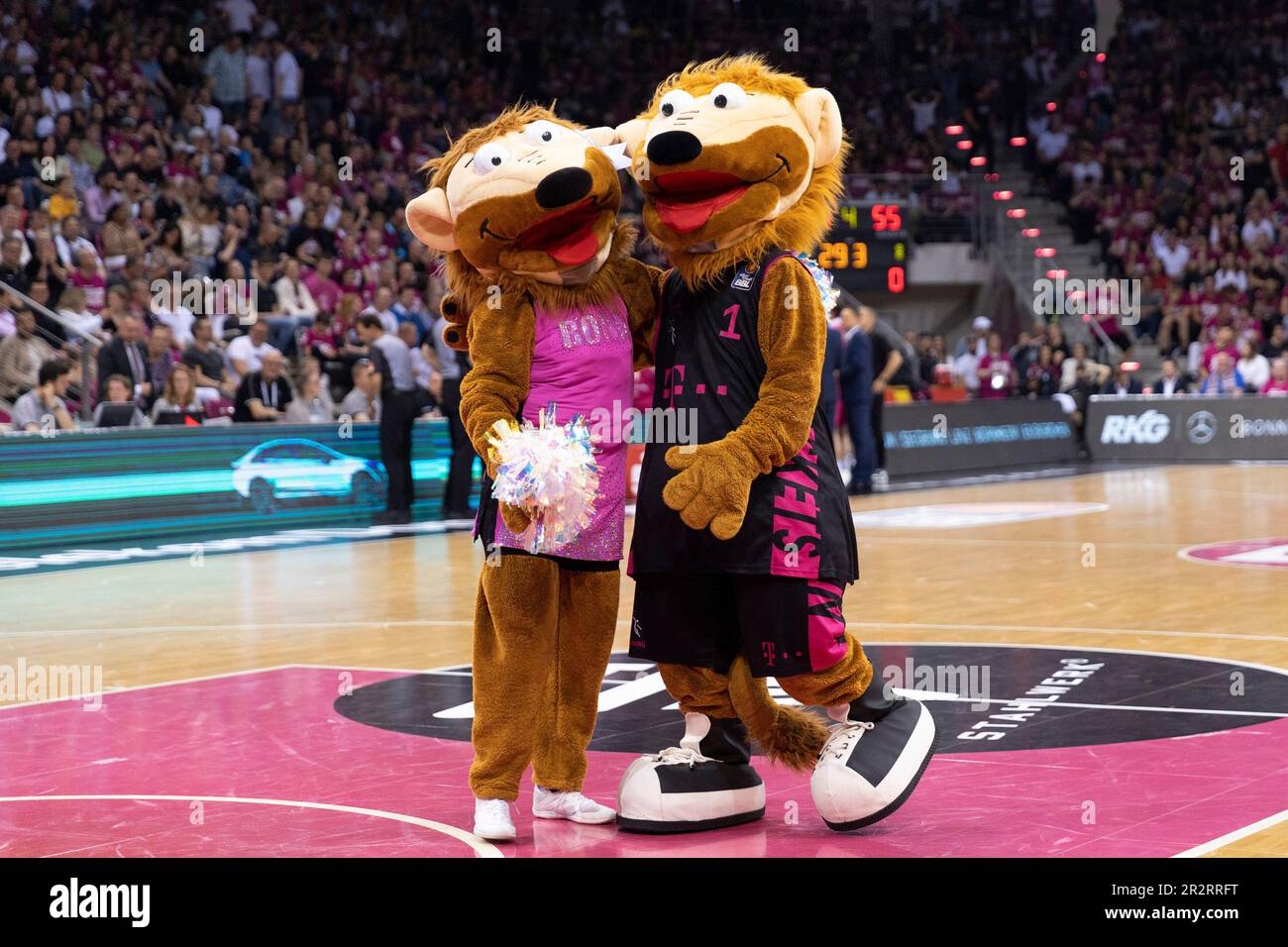 The Telekom Baskets mascots: Bonnita and Bonni, arm in arm, on the ...