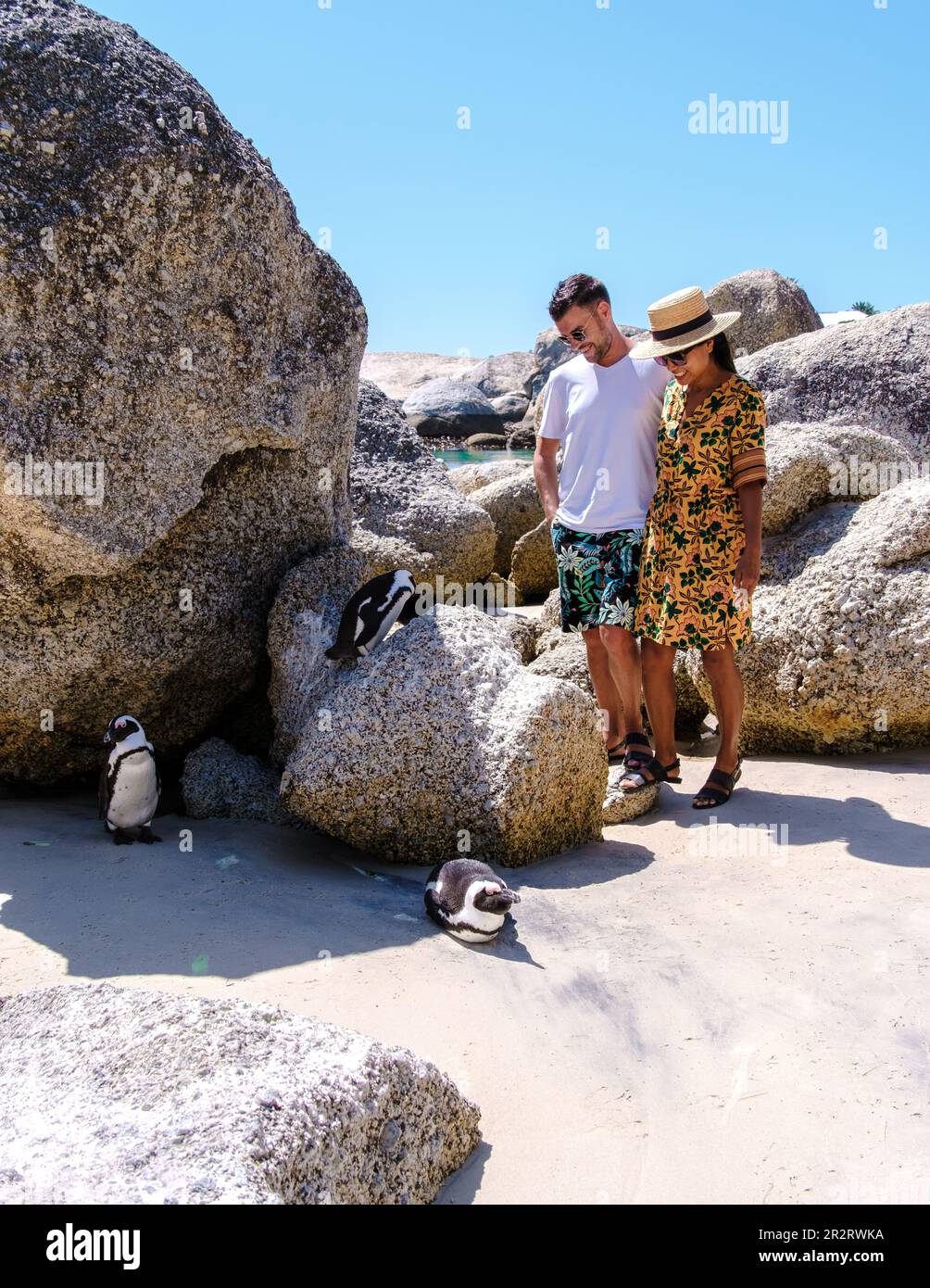 Boulders Beach in Simons Town, Cape Town, South Africa. Beautiful ...