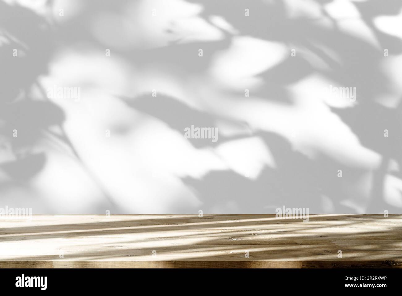 Table shadow background. Wooden table and white empty wall with plant ...