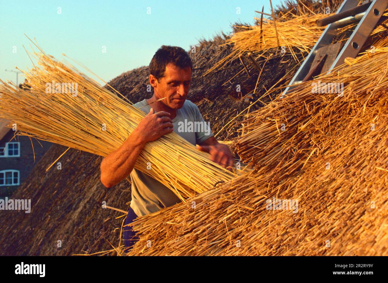 Thatcher at work hi-res stock photography and images - Alamy
