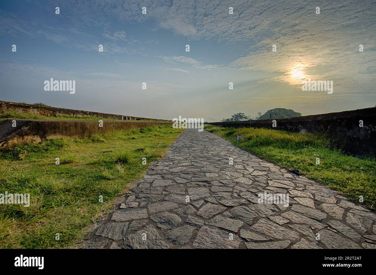 Long grass garden path hi-res stock photography and images - Alamy