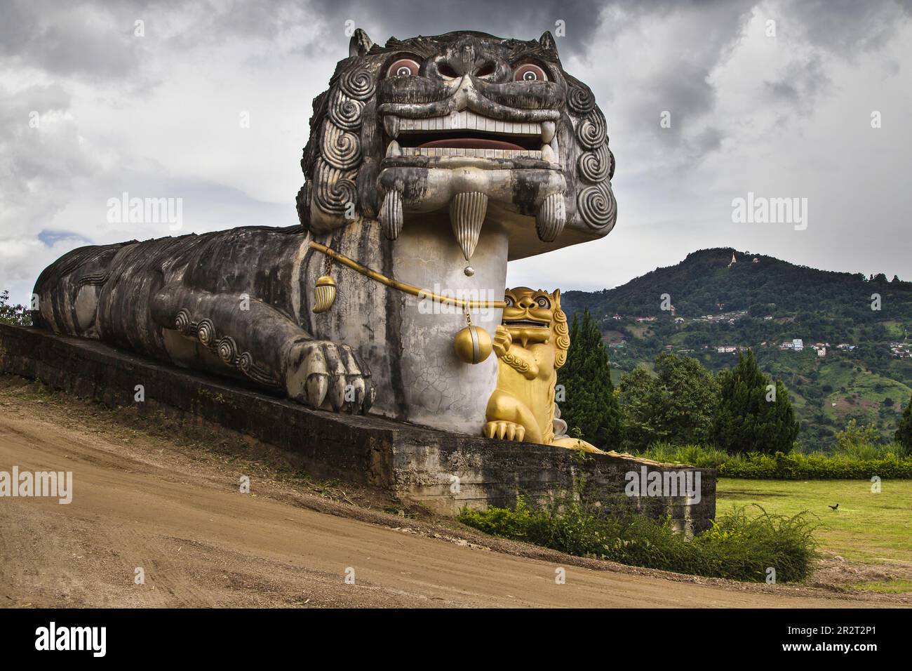 Wang put tan tea plantation hi-res stock photography and images - Alamy