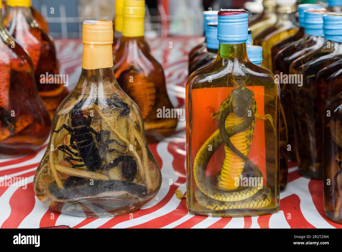 Lao-Lao whisky with snake and scorpion on display at the Don Sao Island ...