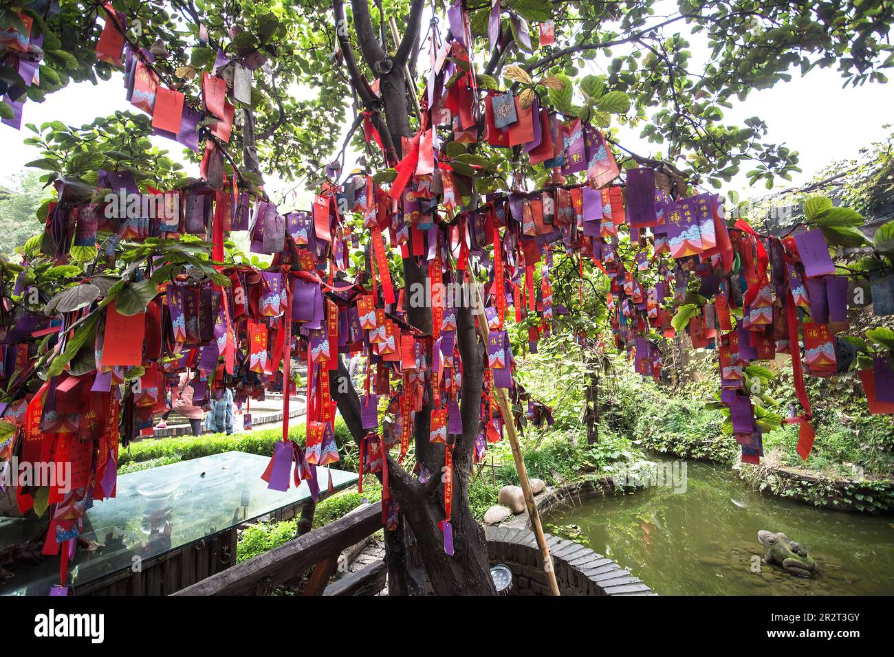 Wishing tree china hi-res stock photography and images - Alamy
