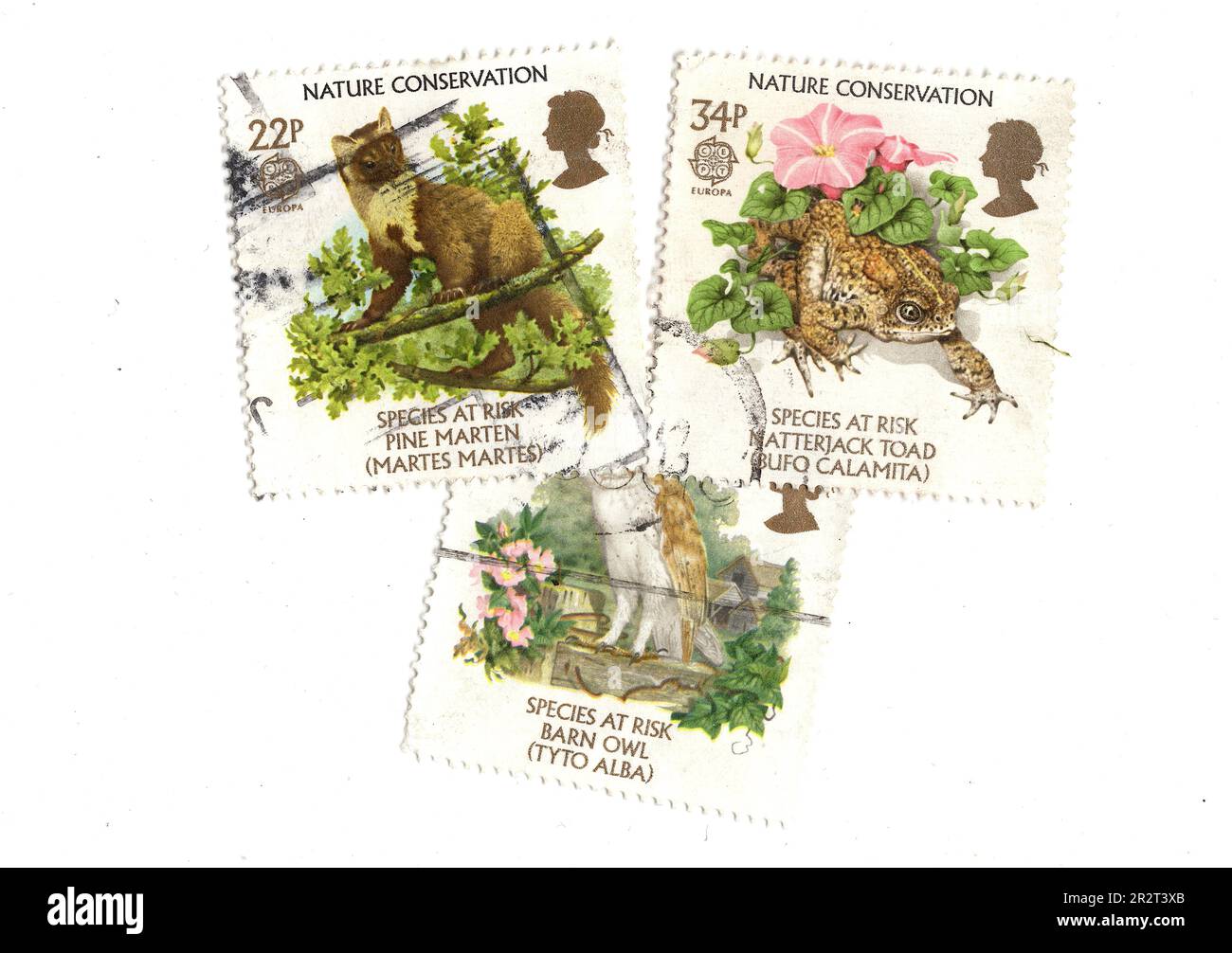 Vintage postage stamps from the United Kingdom featuring species at ...
