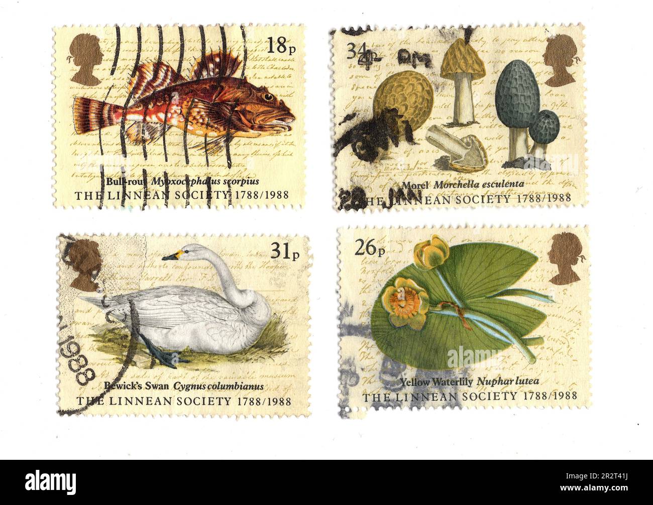 Vintage postage stamps from the United Kingdom featuring plants and ...