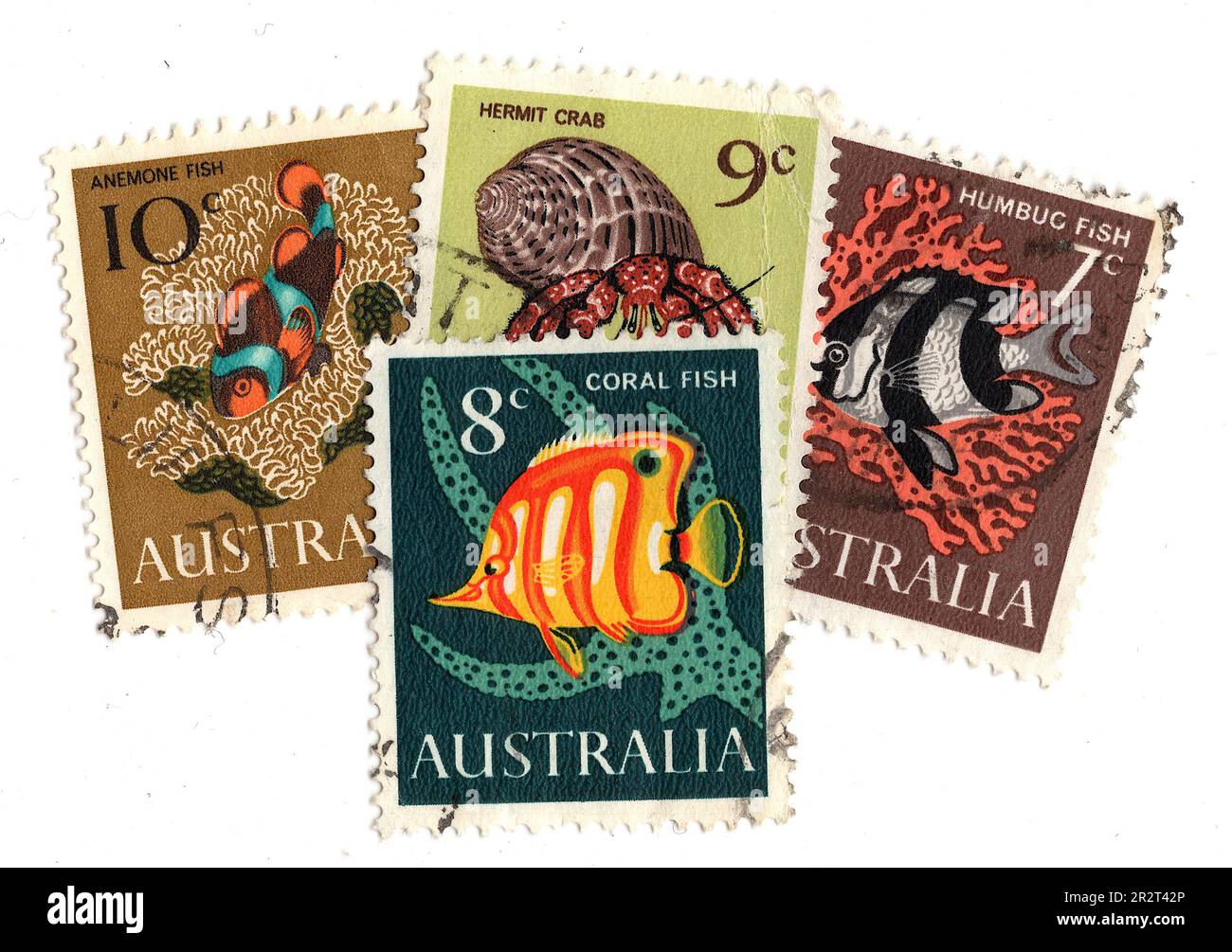 Featuring fish hi-res stock photography and images - Alamy