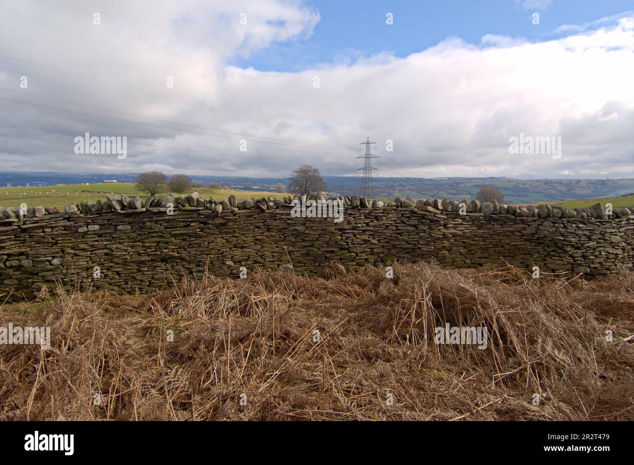 Dry brick wall hi-res stock photography and images - Alamy