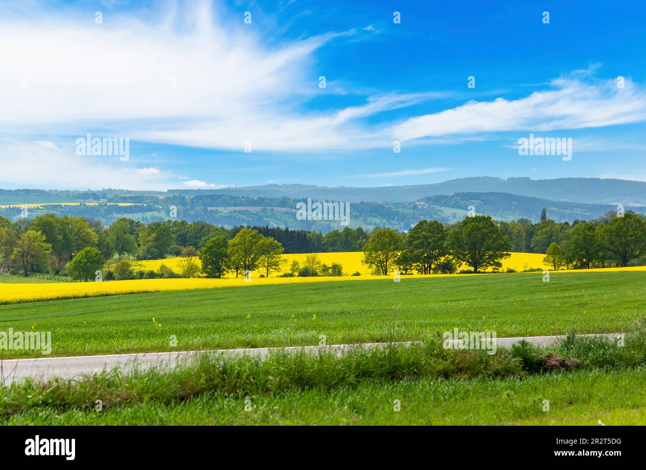 Summer landscape with green and yellow fields. European countryside ...