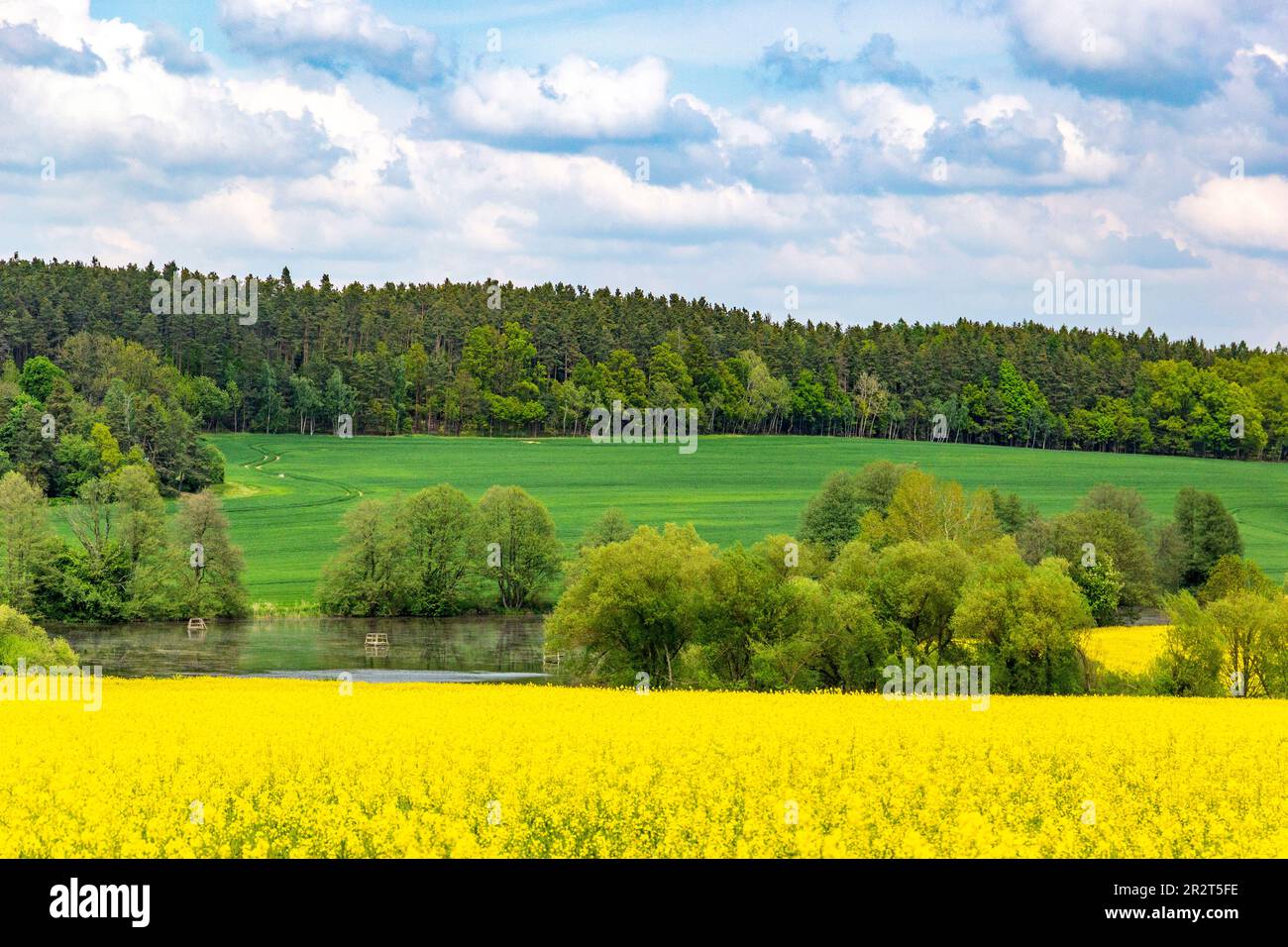 Summer landscape with green and yellow fields. European countryside ...