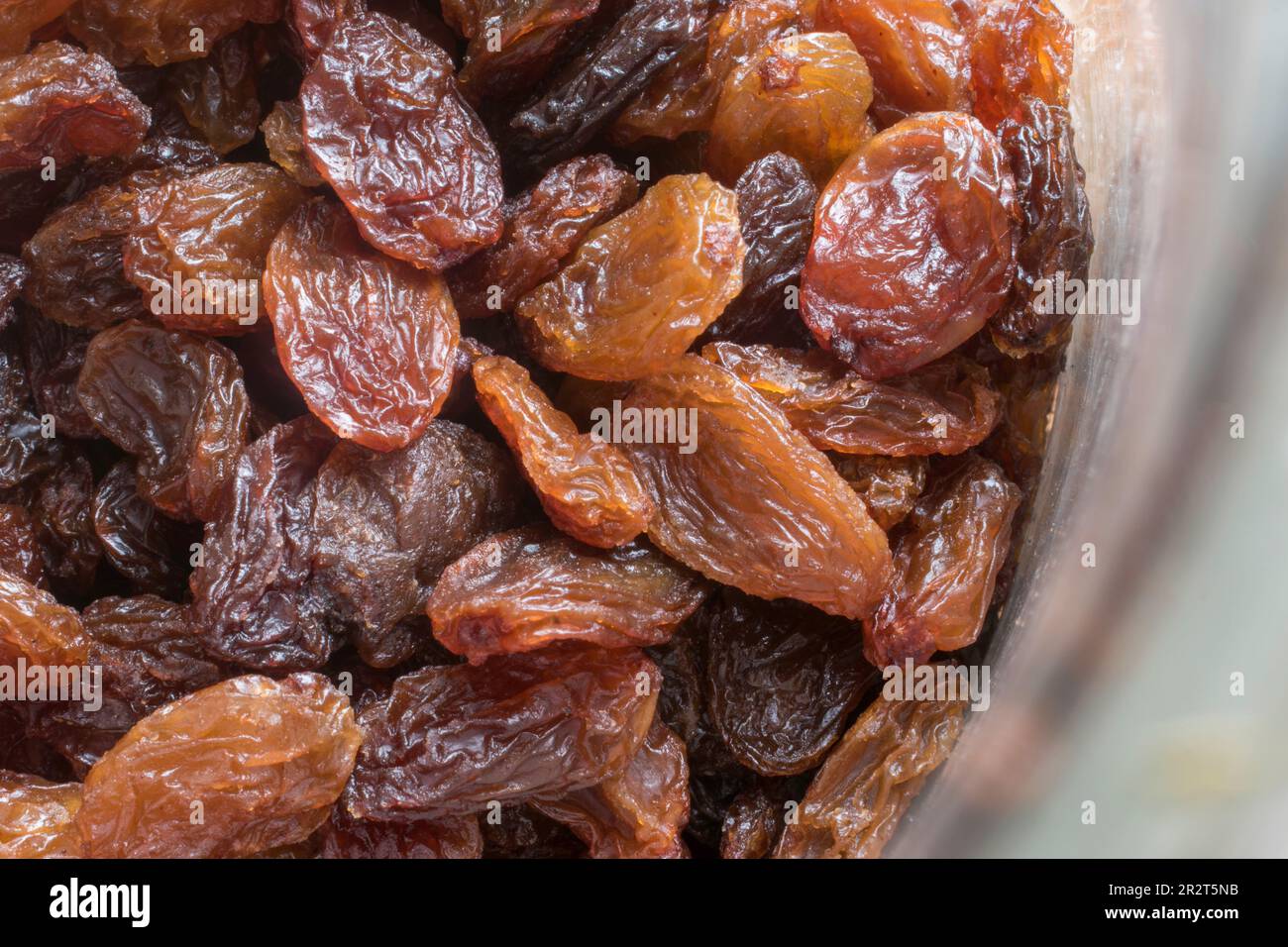 vienna, austria, 16 may 2023: closeup macro image of raisin. (top view ...