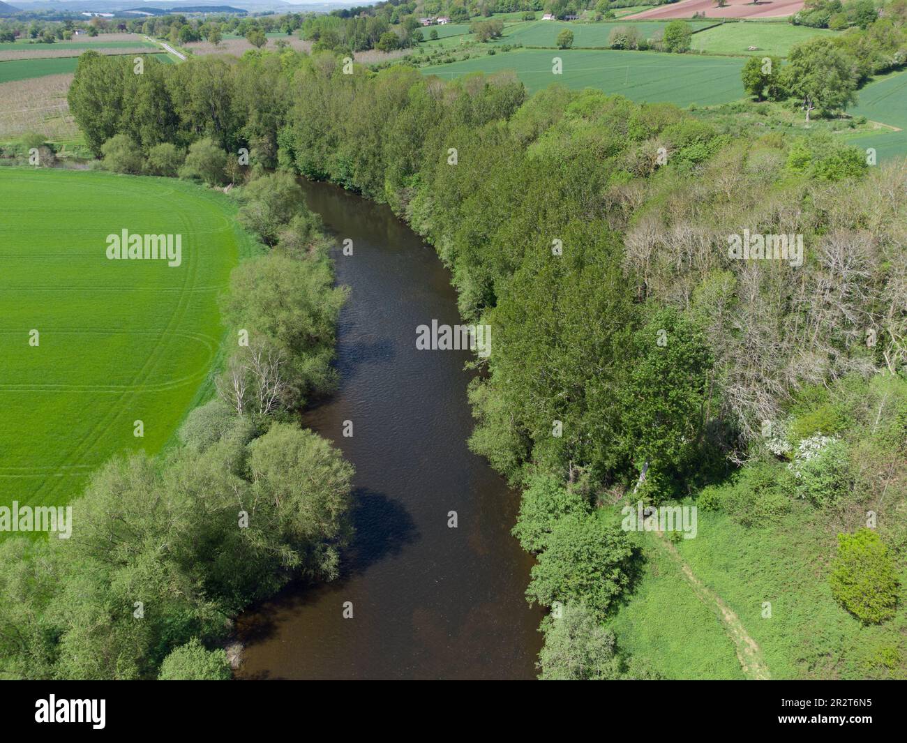 River Wye at Bridge Sollars near Hereford, UK Stock Photo - Alamy