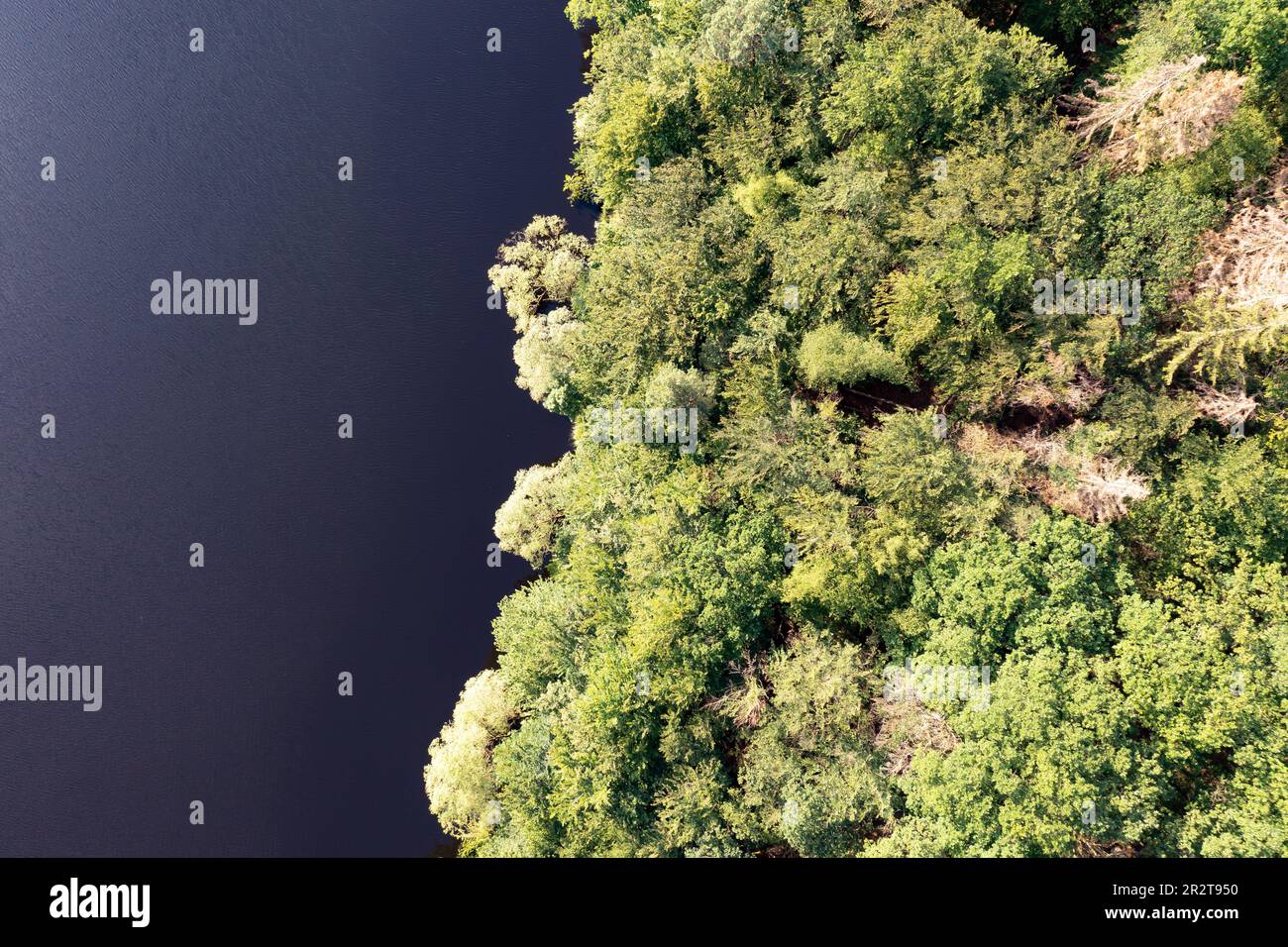 Wooded boundary hi-res stock photography and images - Alamy