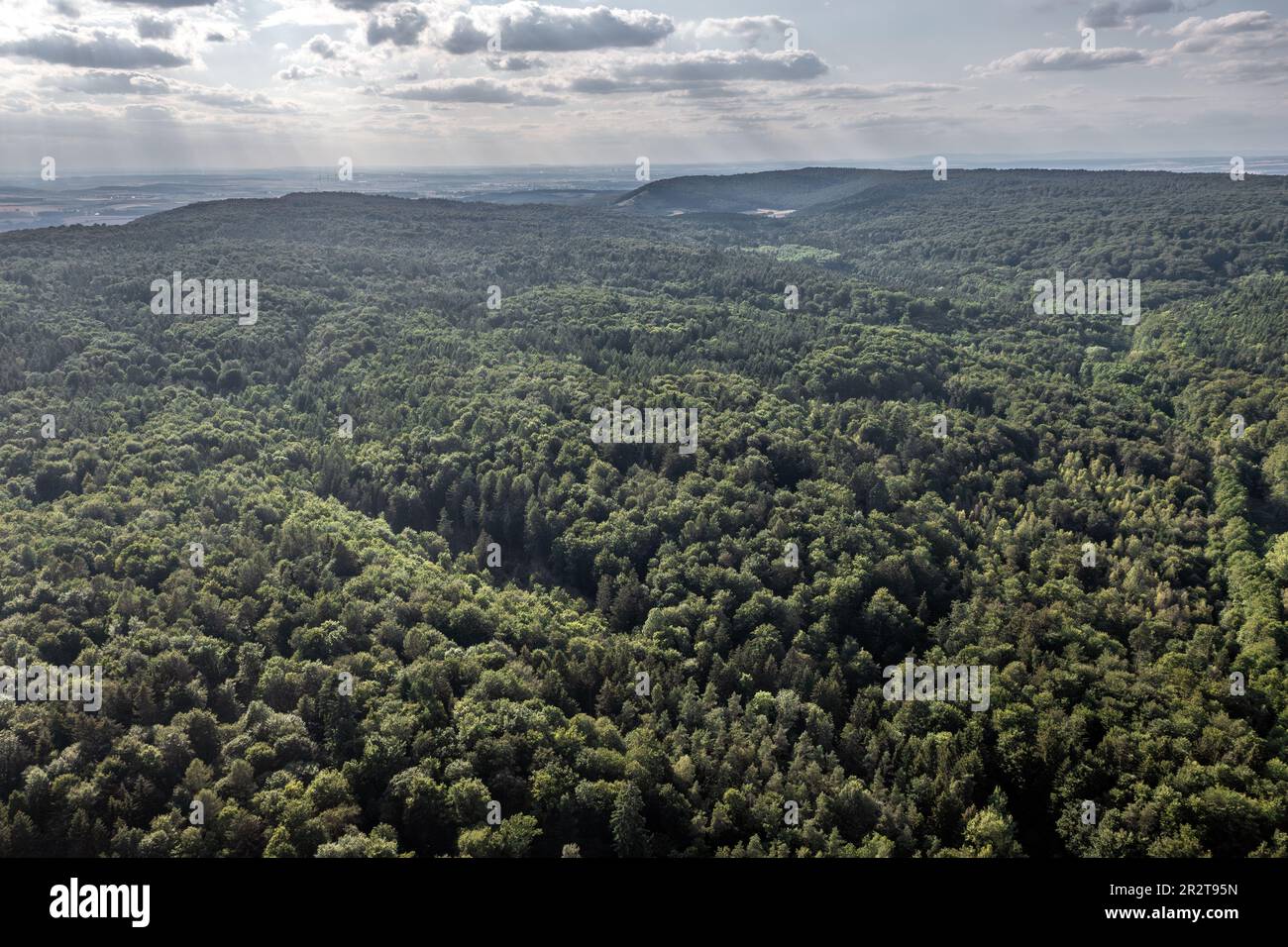 Bavarian deciduous forest area steigerwald from the air Stock Photo - Alamy