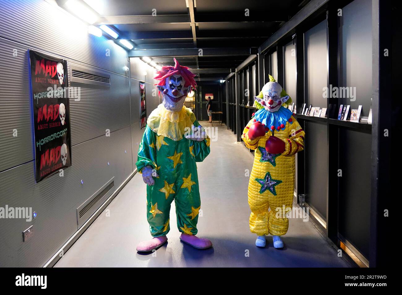 Members of the public dressed in costume at HorrorconUK at the Magna ...