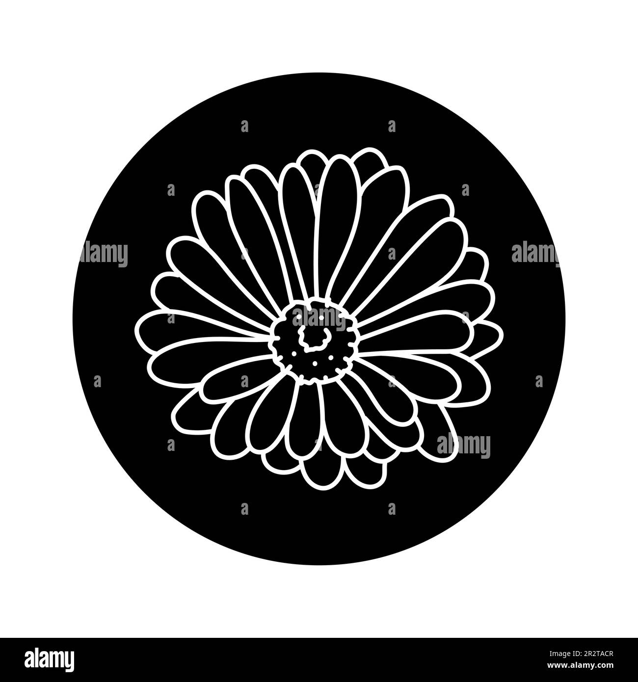 Calendula flowers Black and White Stock Photos & Images - Alamy