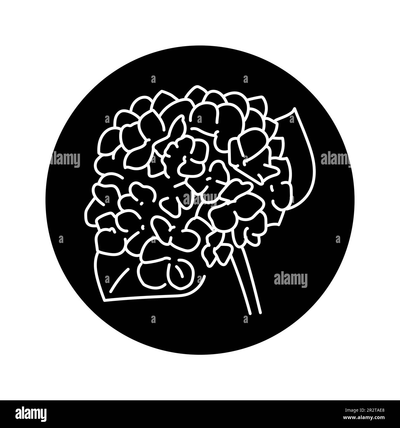 Hortensia Hydrangea flowers black line icon. Pictogram for web page ...