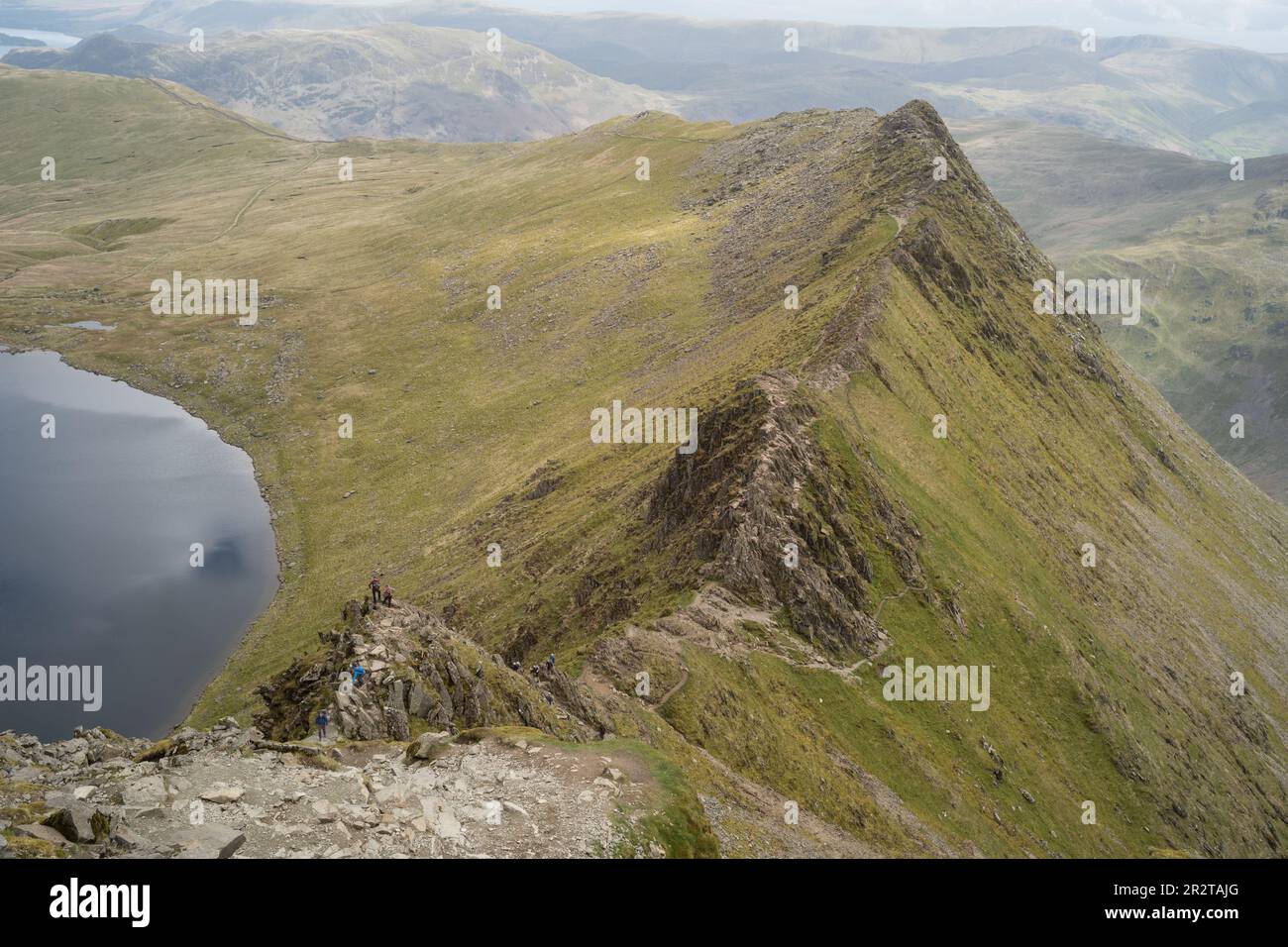 walkers on Striding Edge path with Helvellyn summit behind Stock Photo ...