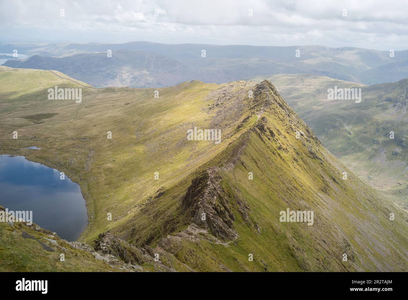 walkers on Striding Edge path with Helvellyn summit behind Stock Photo ...