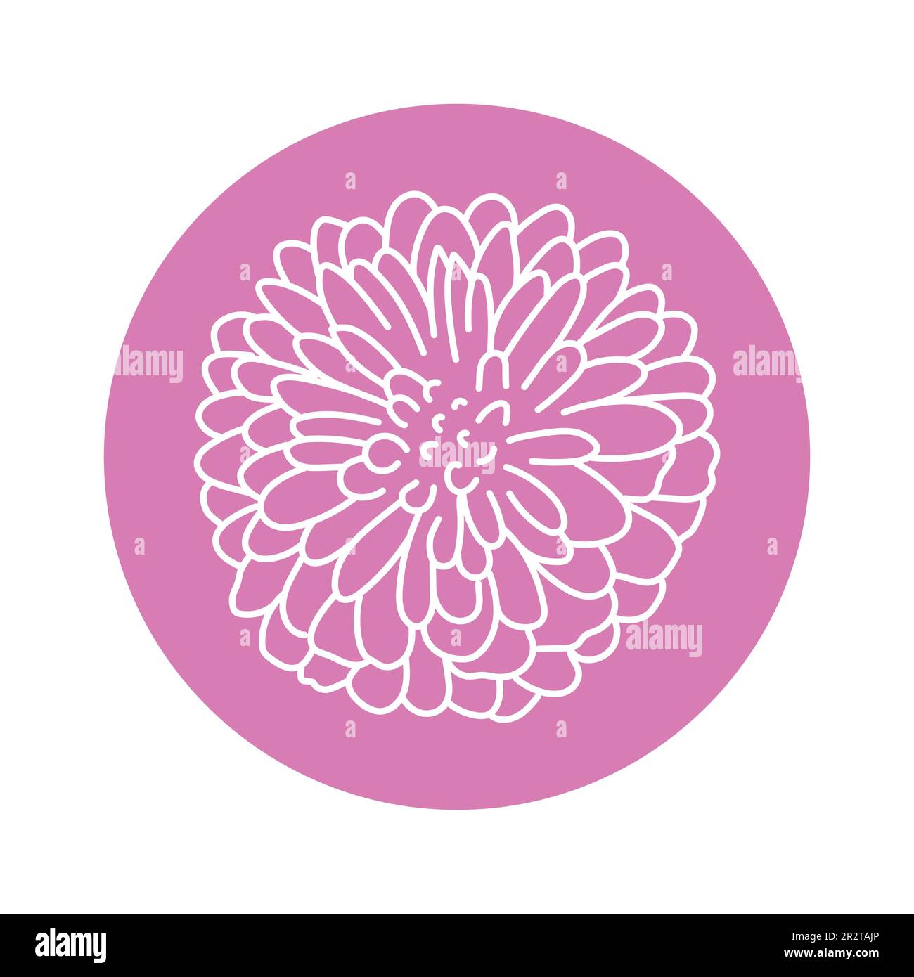 Daisy floral garden spring pictogram hi-res stock photography and ...