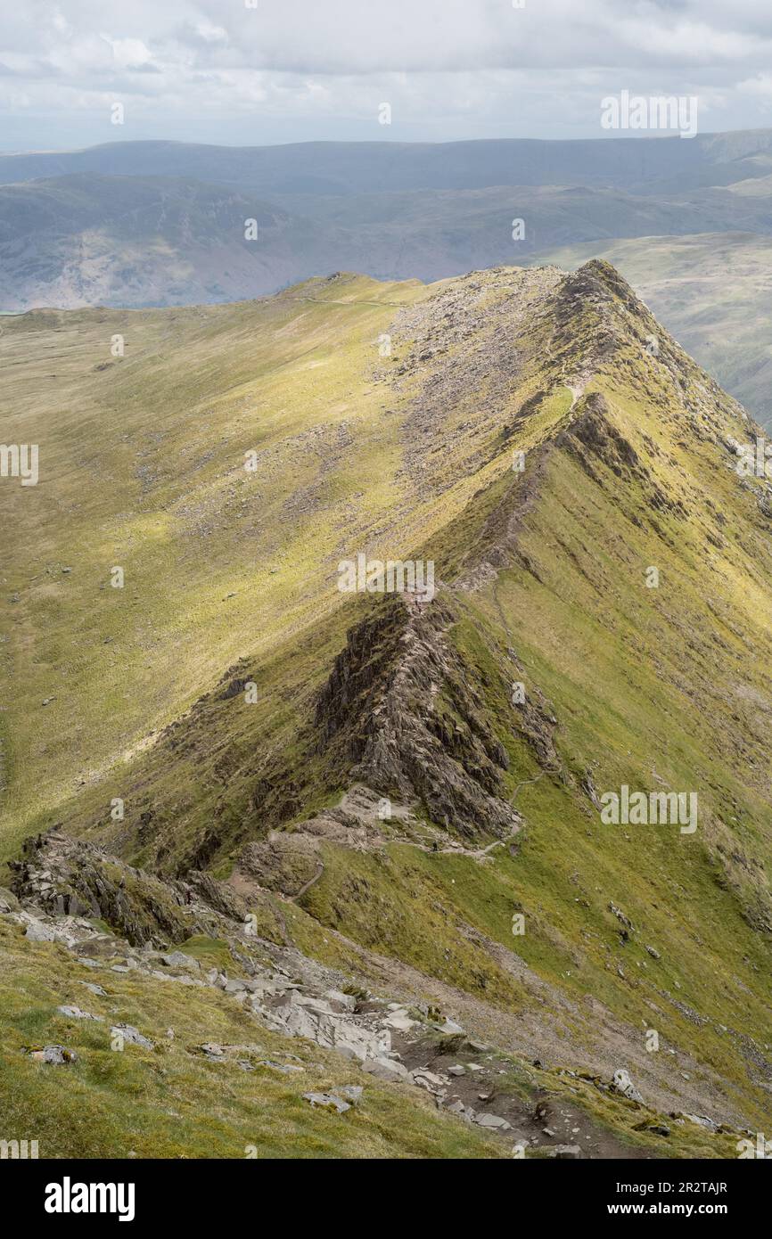 walkers on Striding Edge path with Helvellyn summit behind Stock Photo ...