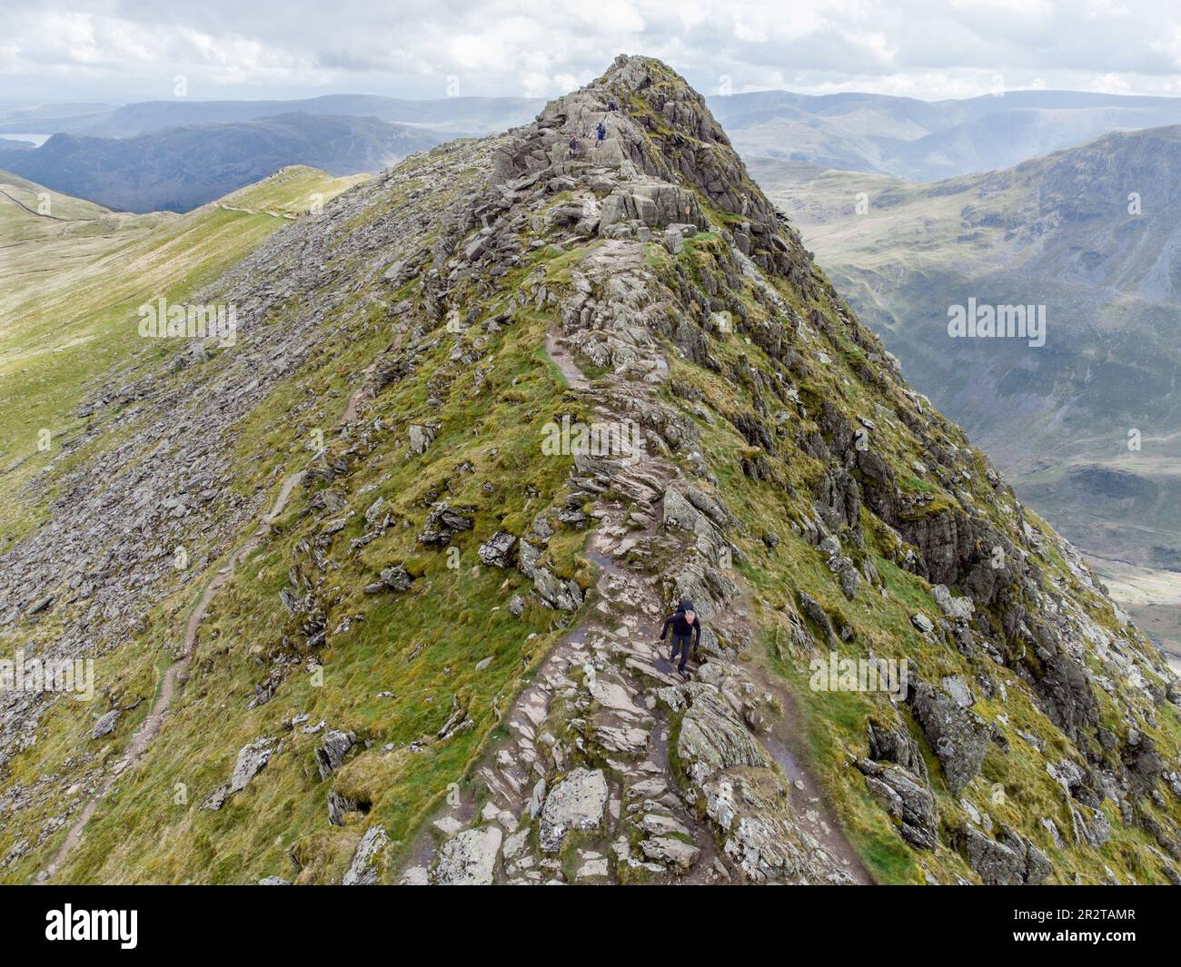 walkers on Striding Edge path with Helvellyn summit behind Stock Photo ...