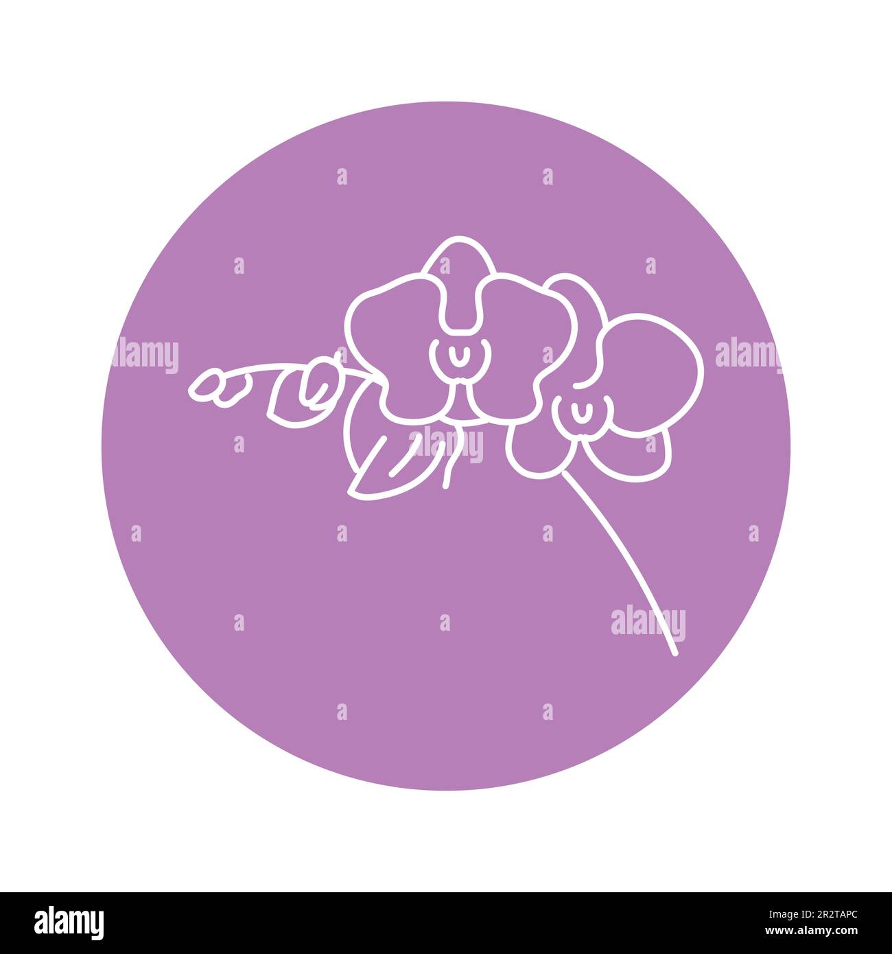 Orhid flower black line icon. Pictogram for web page, mobile app, promo ...