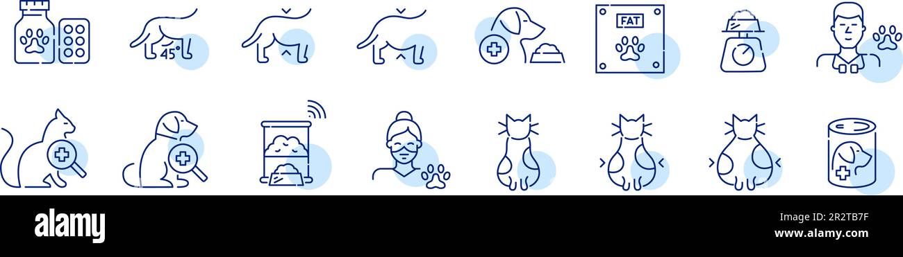 Pet obesity criteria. Veterinary healthcare, special weight loss food ...